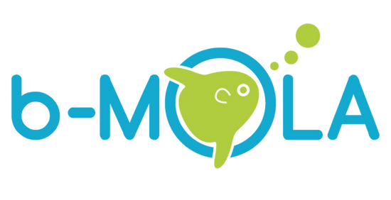 Homepage - B-mola USA